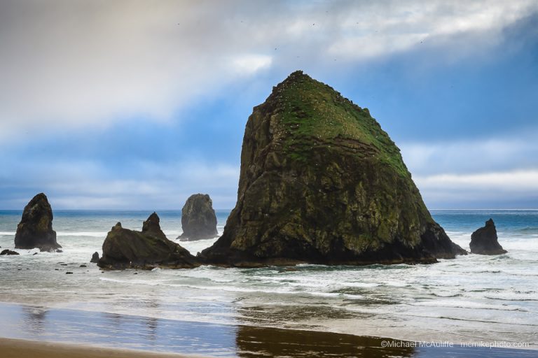 Tufted Puffins at Cannon Beach - Michael McAuliffe Photography